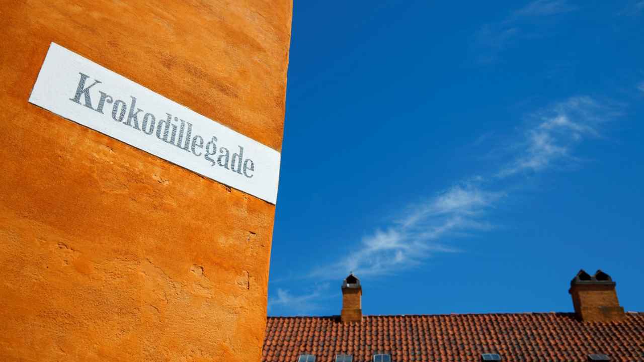 Kender du de mest almindelige danske vejnavne?