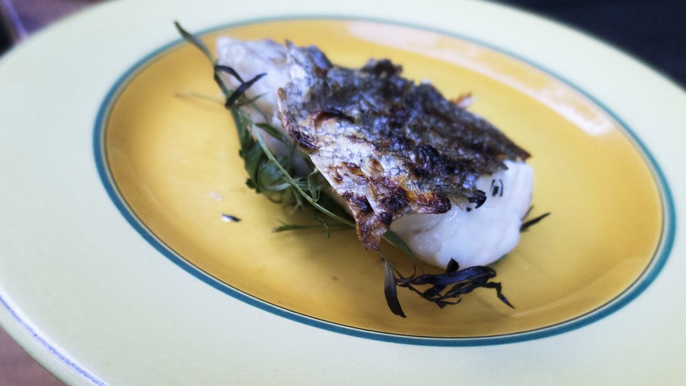 Bliv en haj til at grille fisk denne sommer